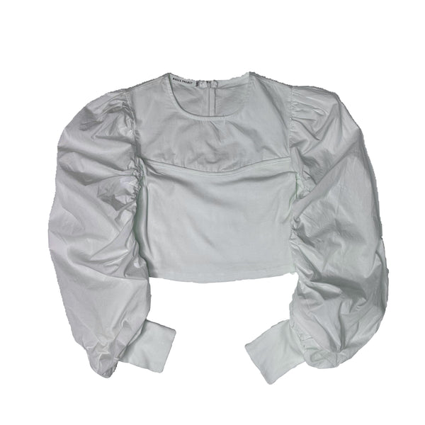 Bisou's Project Ruffle Sleeve Crop Top - PinkOrchidFashion